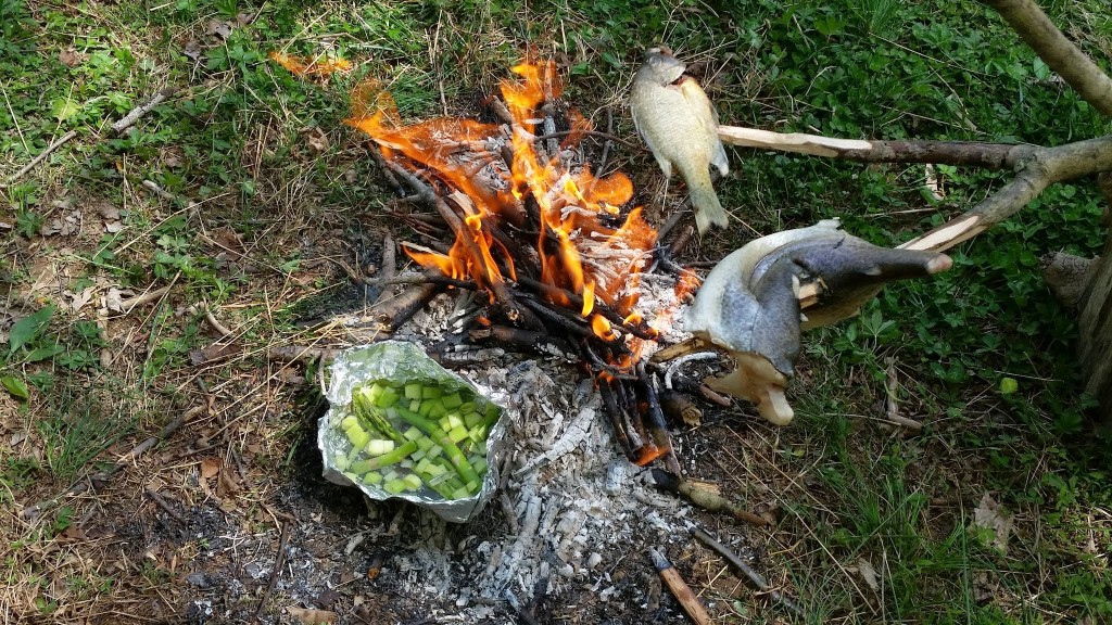 Wilderness self-reliance skills – Welcome PBN Family