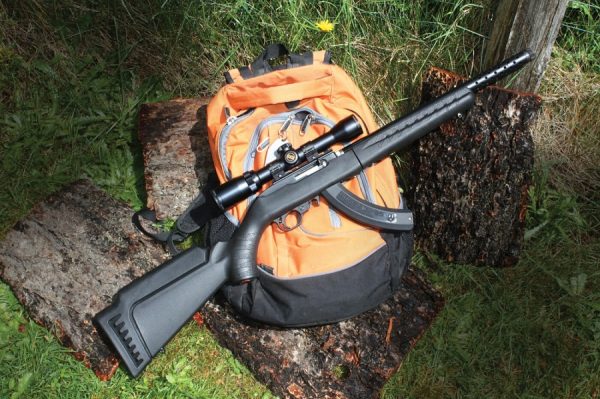 Rabbit Shooting, Hunting Tips with a Ruger 10/22 – Welcome PBN Family